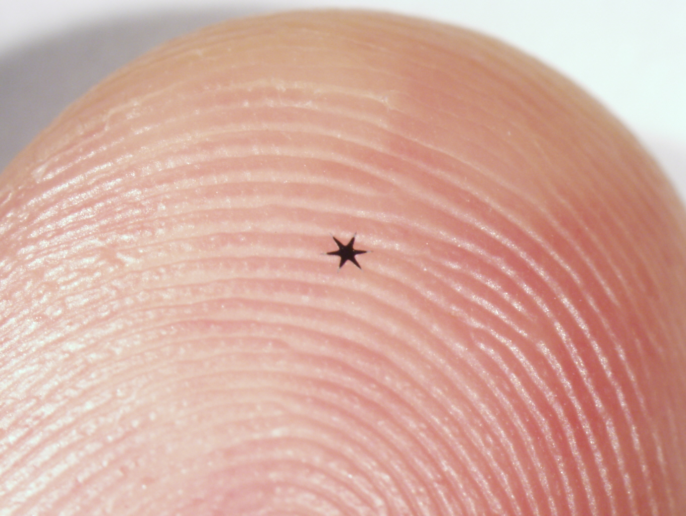 Laboratory for Drug Delivery - Cellular Gallery